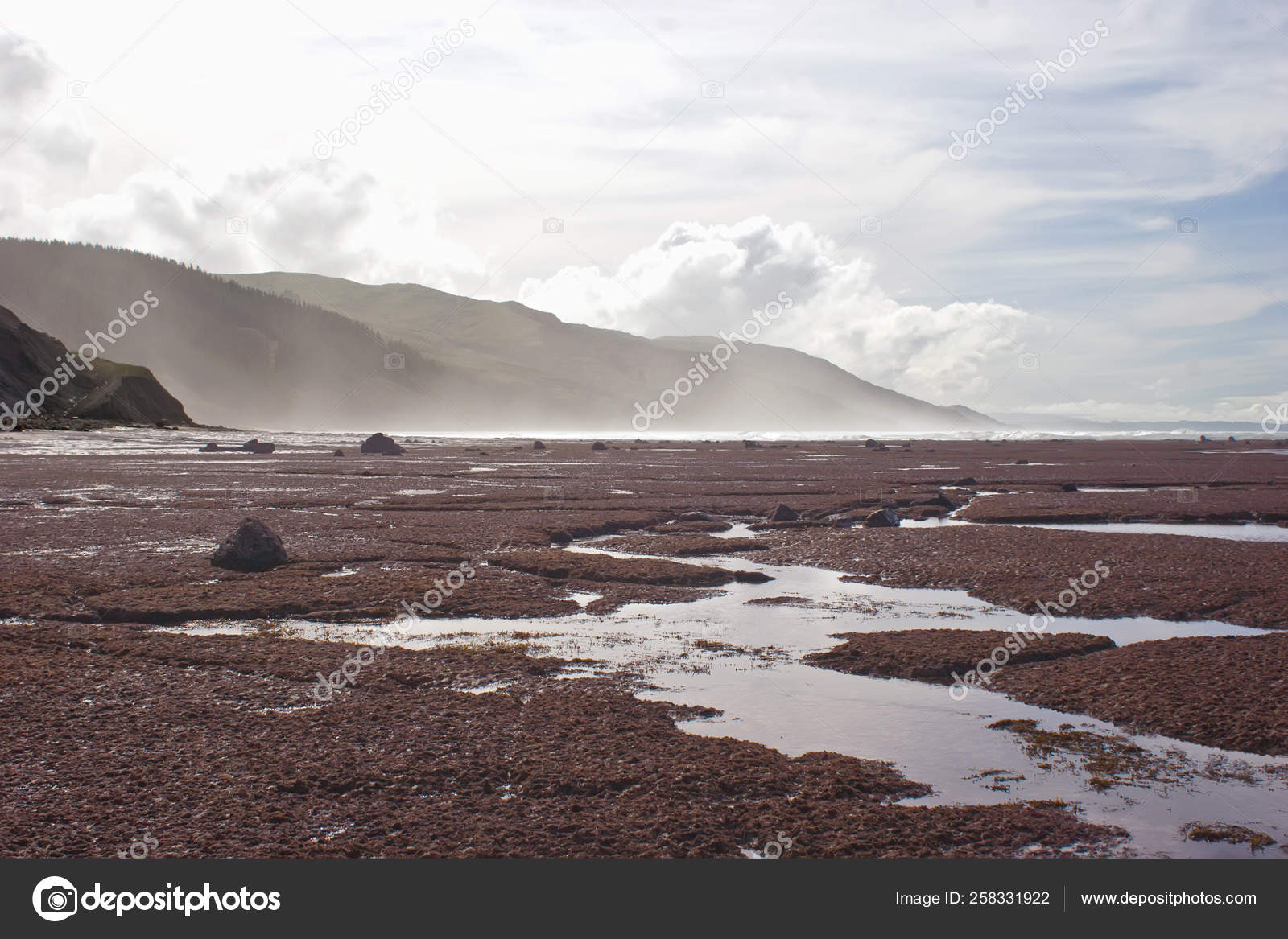 Stretch Beach East Coast Southern Hawkes Bay Porangahau Whangaehu ...