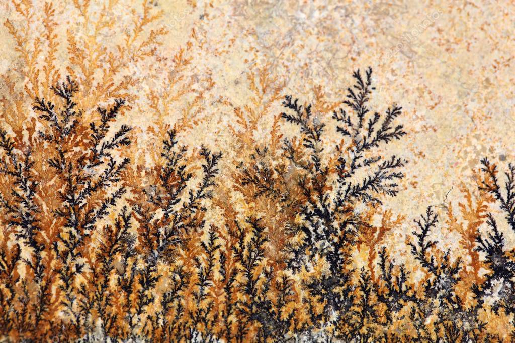 Minerales dendríticos (óxidos de hierro y manganeso) sobre piedra ...