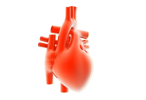 Human Heart Medical Background Stock Photo by ©YAYImages 262332646
