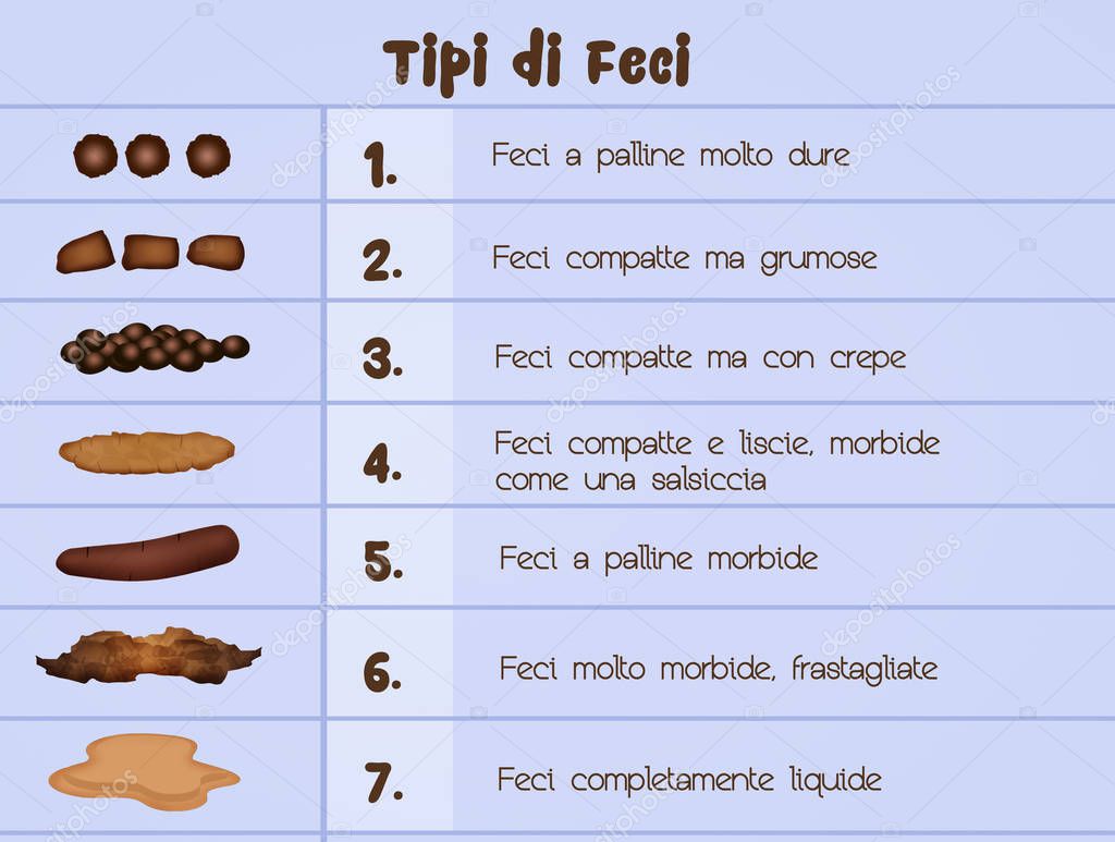ilustración de varios tipos de deposiciones 2024