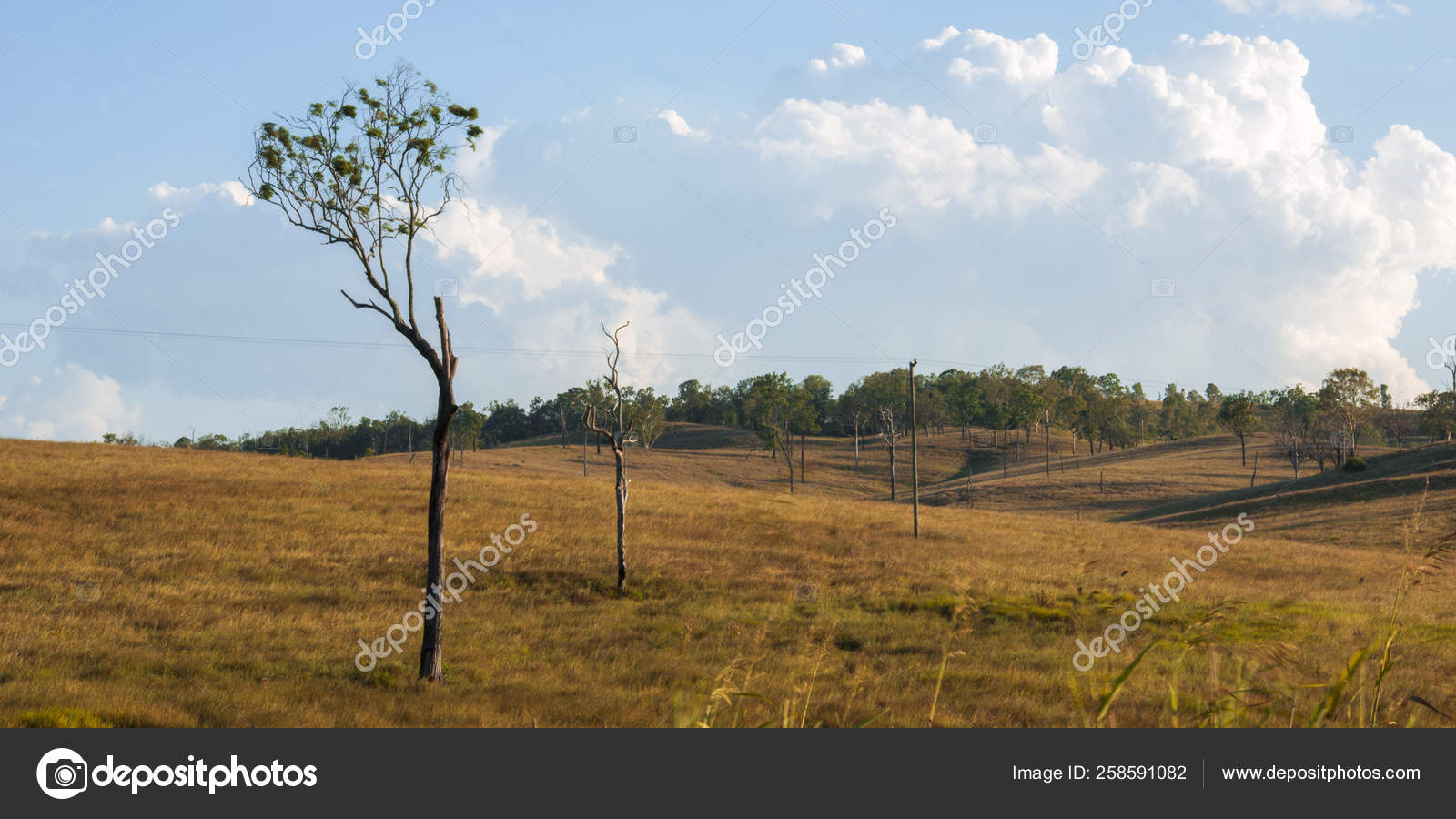 Beautiful Countryside Mount Walker Queensland Australia – Stock ...