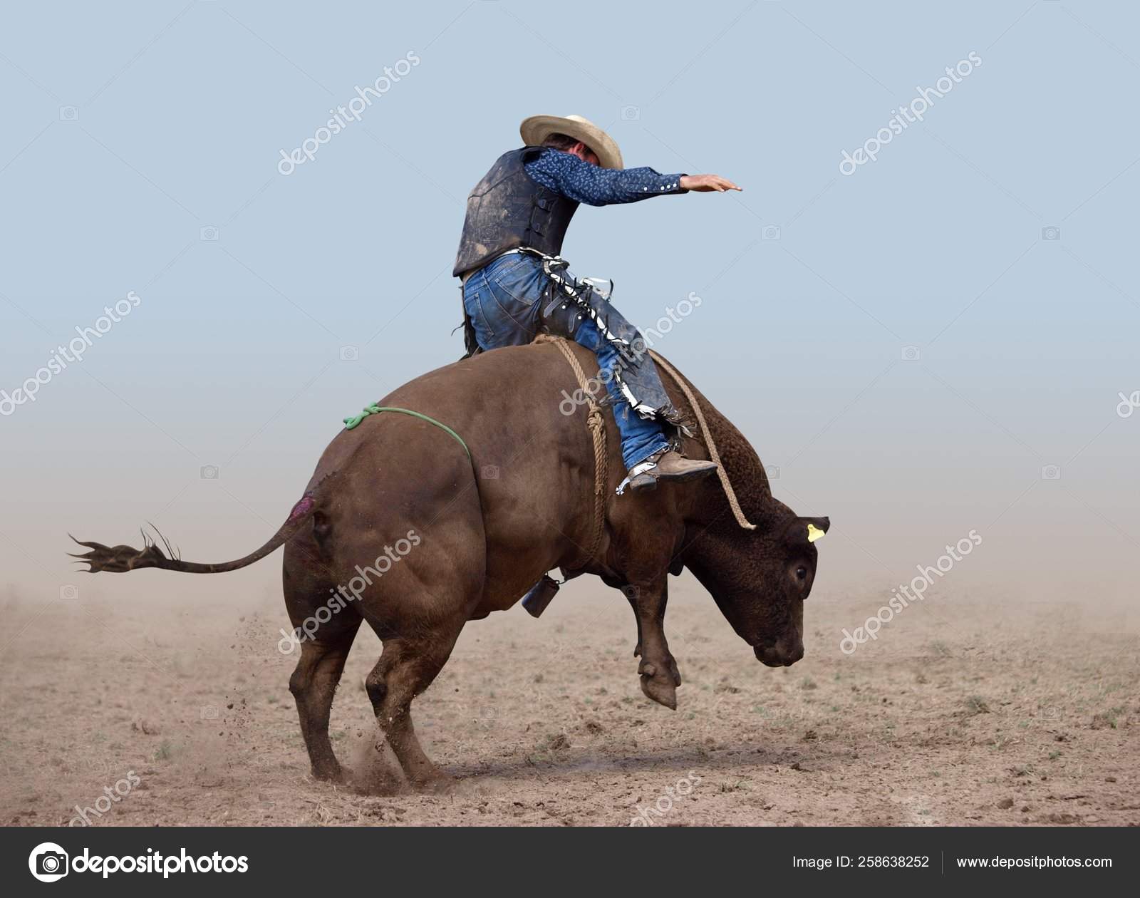 Bull Rider Clear Background Stock Photo by ©YAYImages 258638252