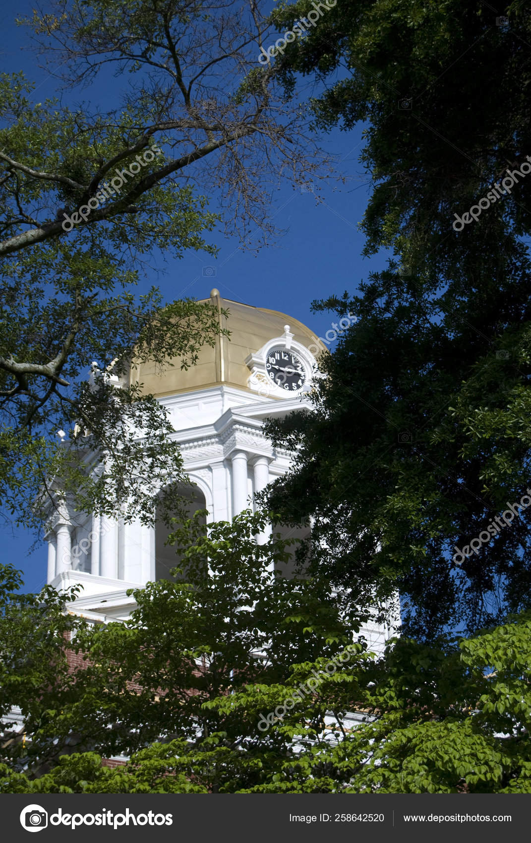 Typical Southern Usa Courthouse Gold Dome Taken Cartersville Georgia ...