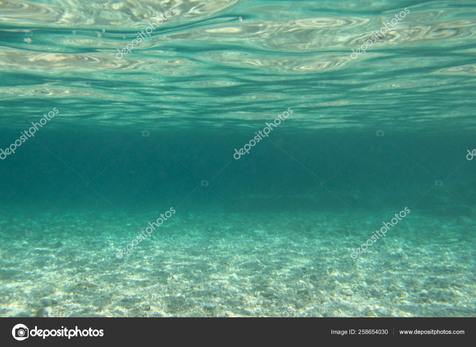 Underwater Sea View Background Transparent Clear Water Sea Bottom ...