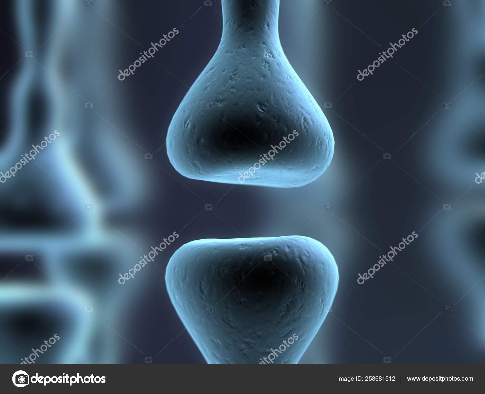 Axon Brain Hormon Nerve Neuron Receptor Stock Photo by ©YAYImages 258681512