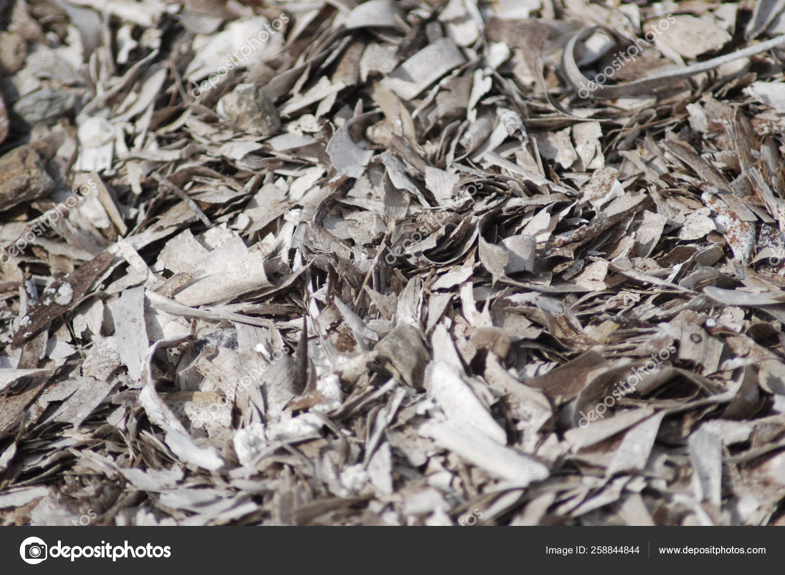 Dried Seaweed Texture Macro Algae Background Stock Photo by ©YAYImages ...