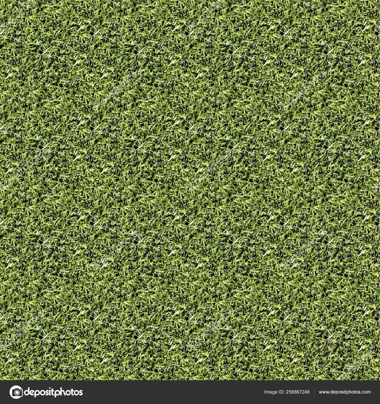 Illustration Seamless Grass Texture Stock Photo by ©YAYImages 258867248