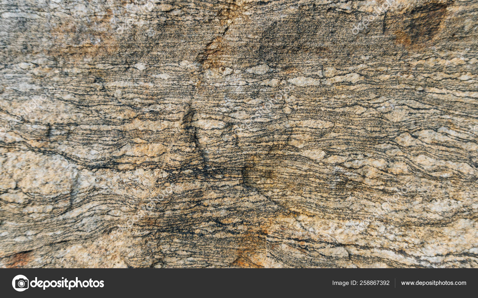 Gneiss Layered Texture Layers Texture Natural Granite Gneiss Make Edgy ...