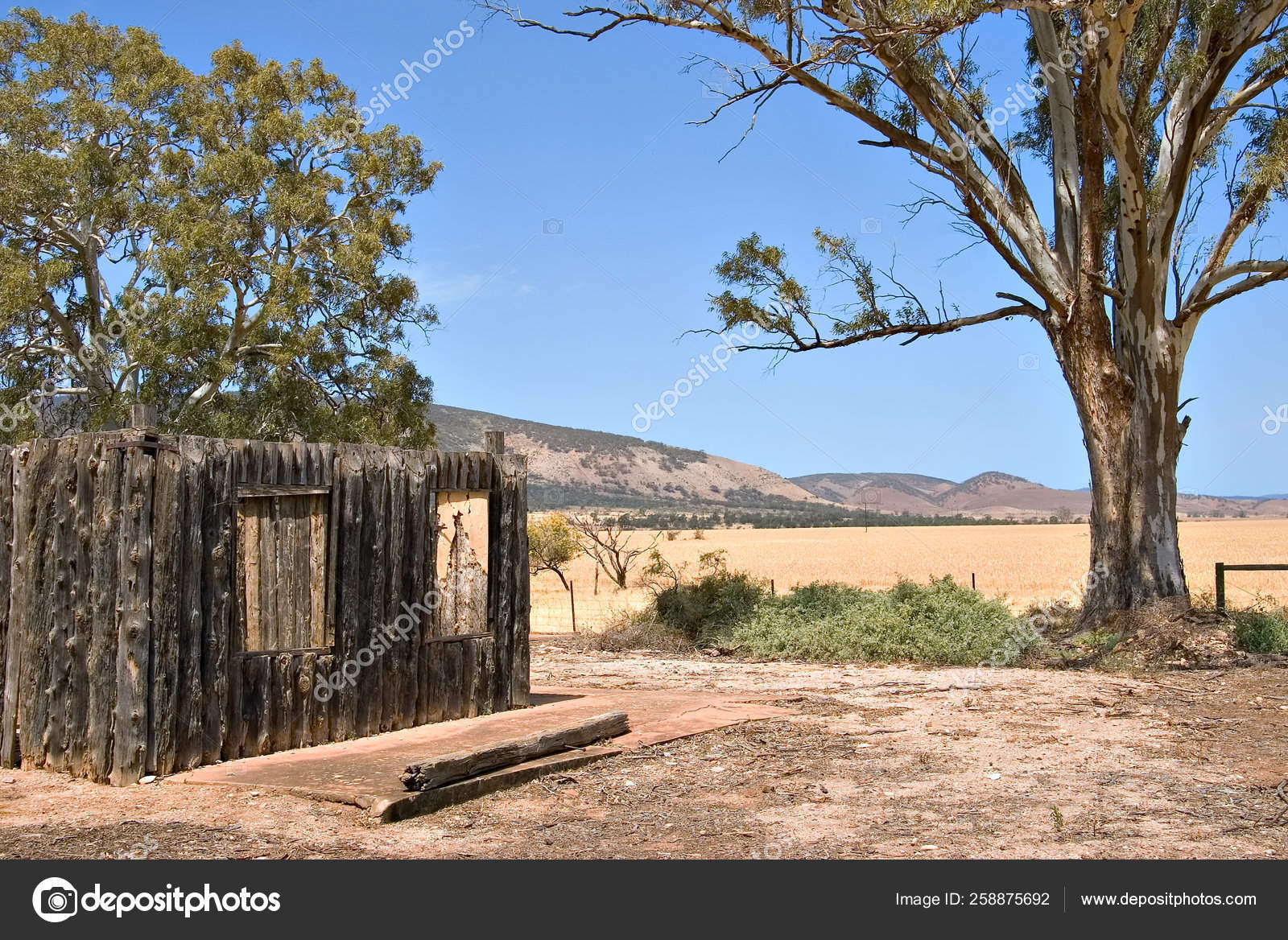 Wooden Ruins Tree Stock Photo by ©YAYImages 258875692