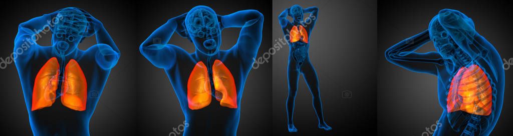 Representación 3D ilustración médica del pulmón humano 2023