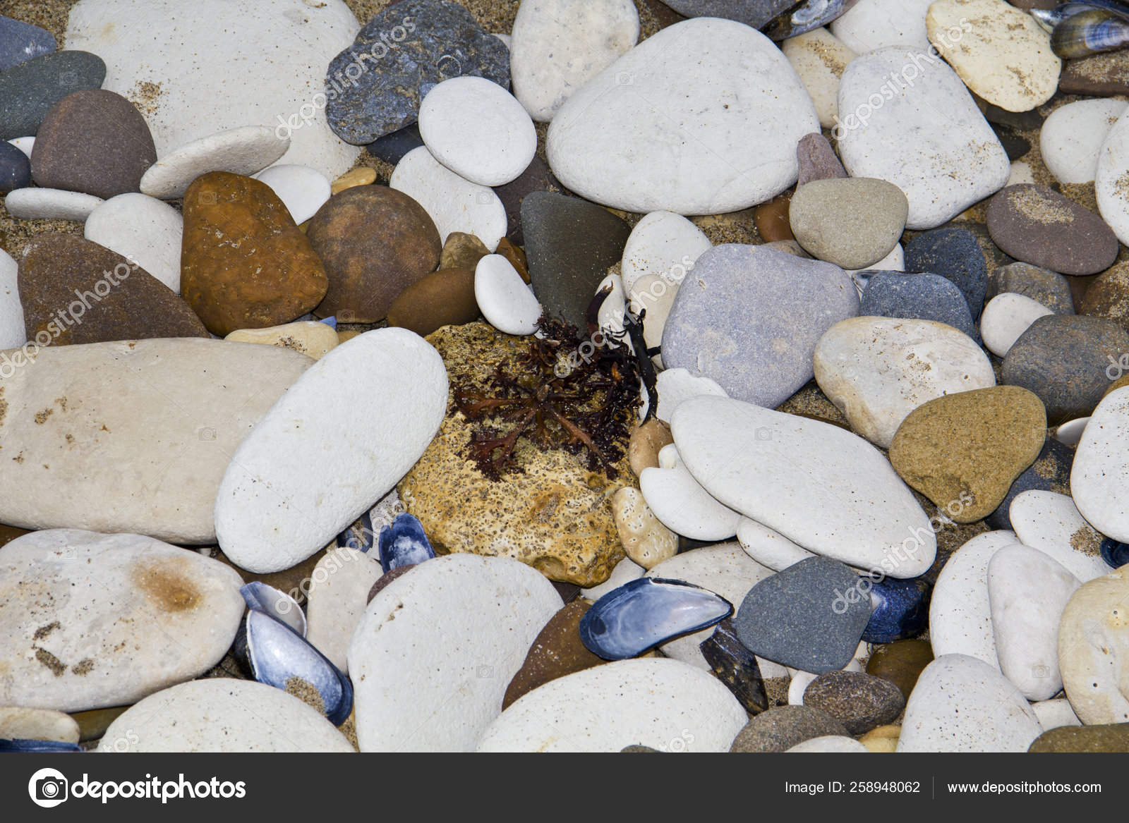 Collection Different Coloured Pebbles Forming Work Art Stock Photo by ...