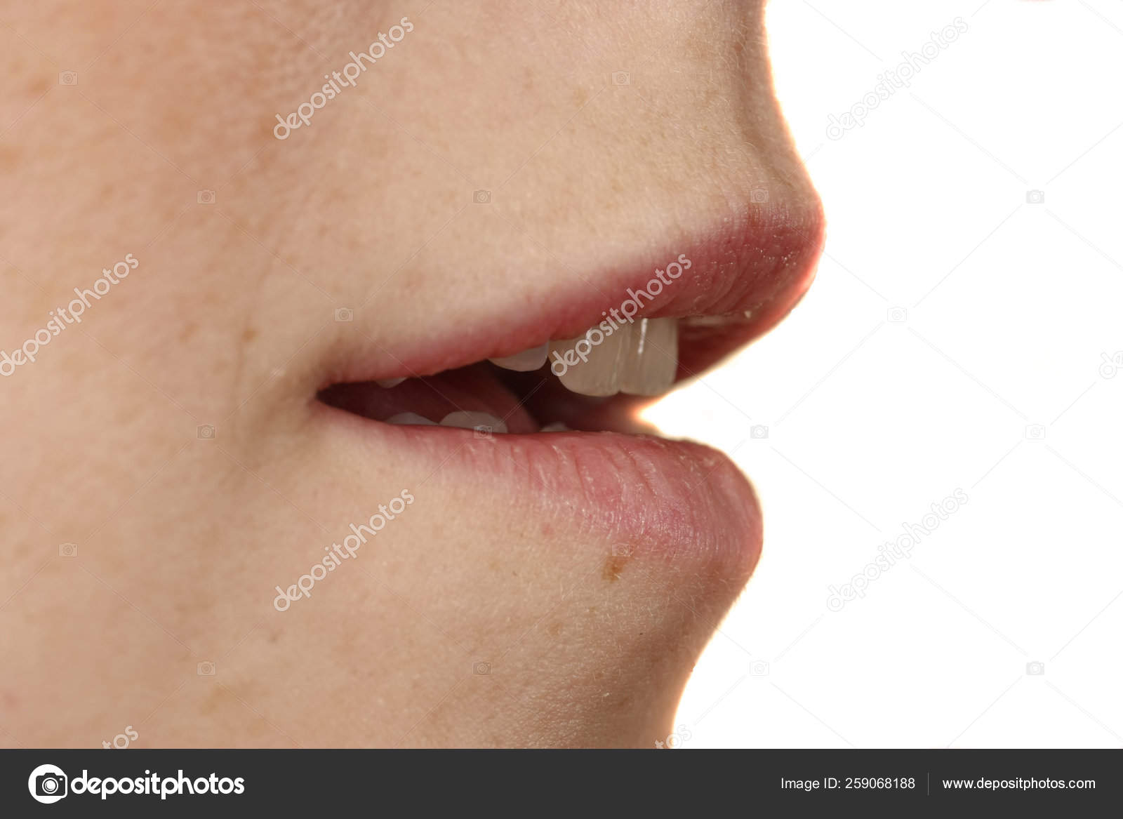 Profil Charming Mouth Stock Photo by ©YAYImages 259068188