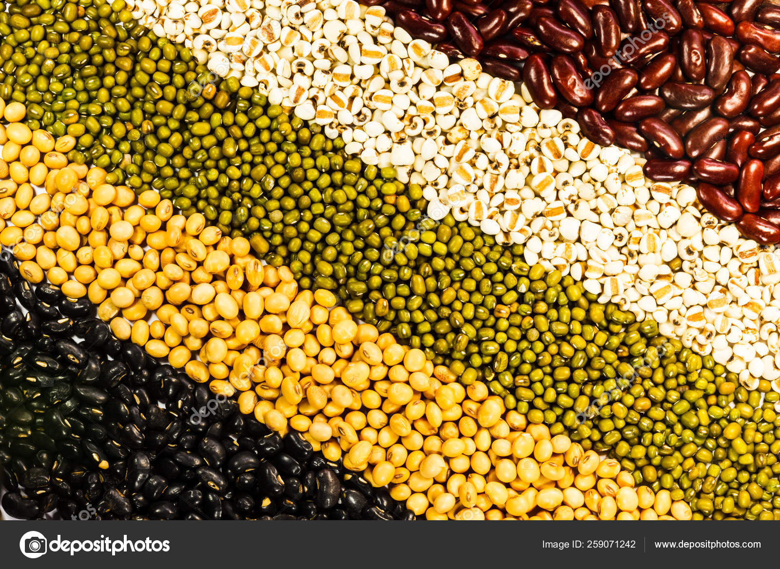 Various Kinds Different Beans – Stock Editorial Photo © YAYImages ...