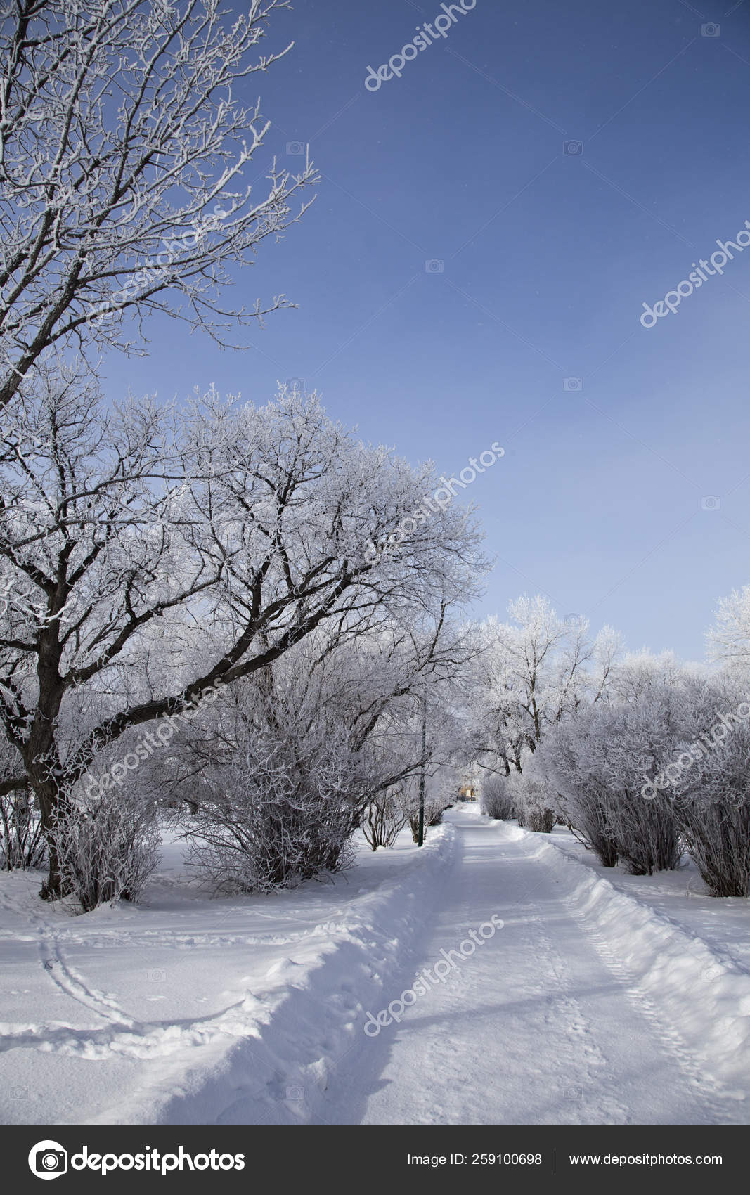Saskatchewan Prairie Winter