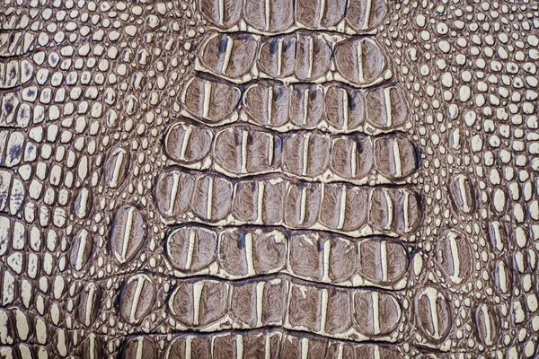 Seamless Natural Crocodile Skin Texture Stock Photo by ©YAYImages 257914042