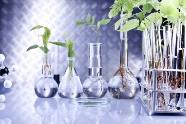 Plants Laboratory Background Close Stock Photo by ©YAYImages 258581854