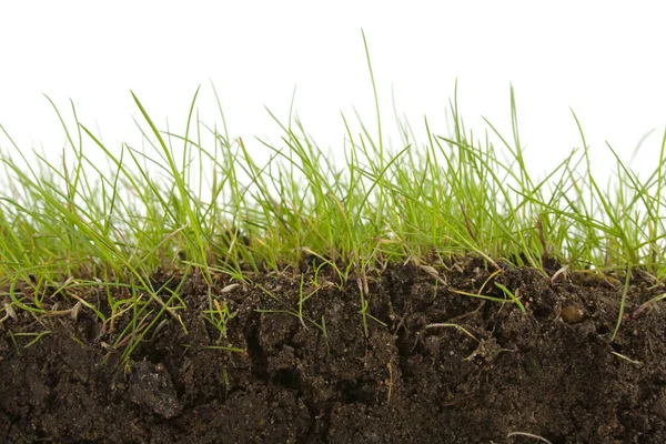Soil border Stock Photos, Royalty Free Soil border Images | Depositphotos