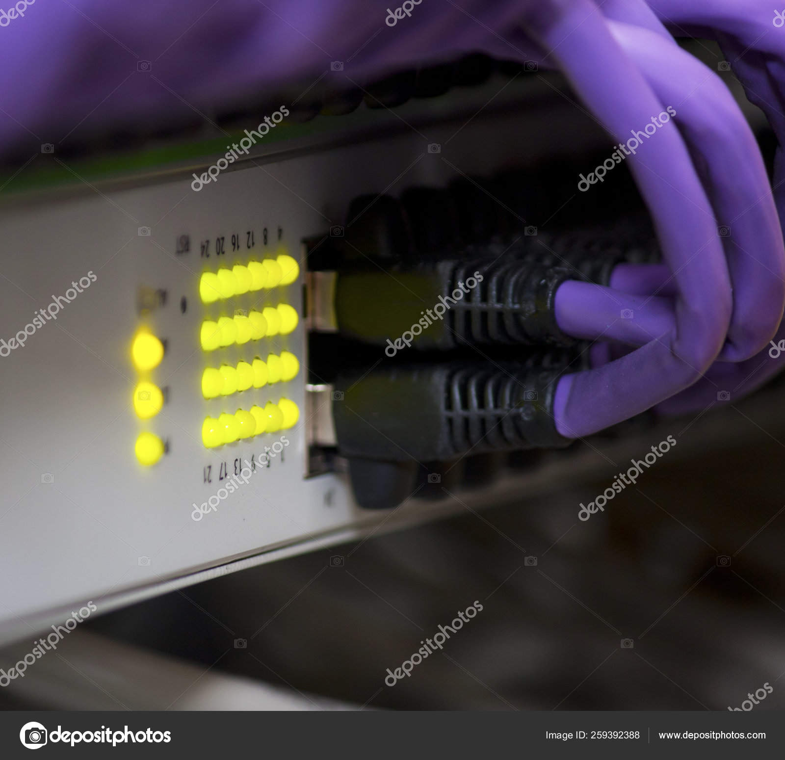 Purple Ethernet Cables Connected Switch Stock Photo by ©YAYImages 259392388