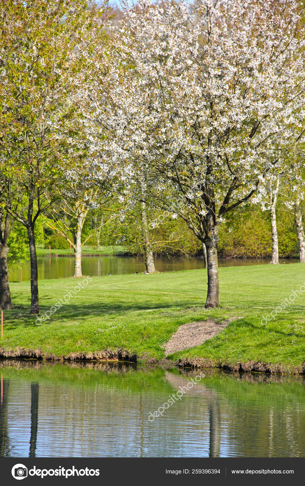 Beautiful Spring Landscape Golf Course Saint Saens France — Stock Photo ...