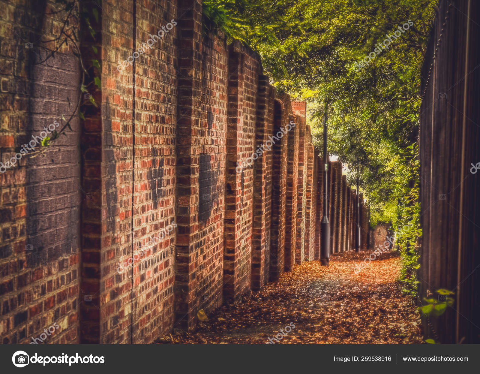 Pathway One London Suburbs Photographed Autumn Stock Photo by ...
