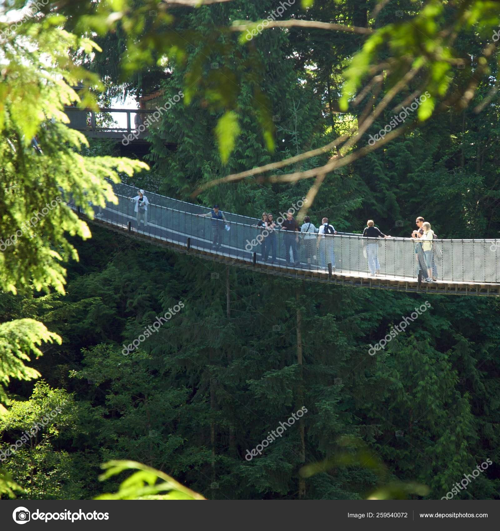 Capilano Suspension Bridge Vancouver British Columbia Canada Stock ...
