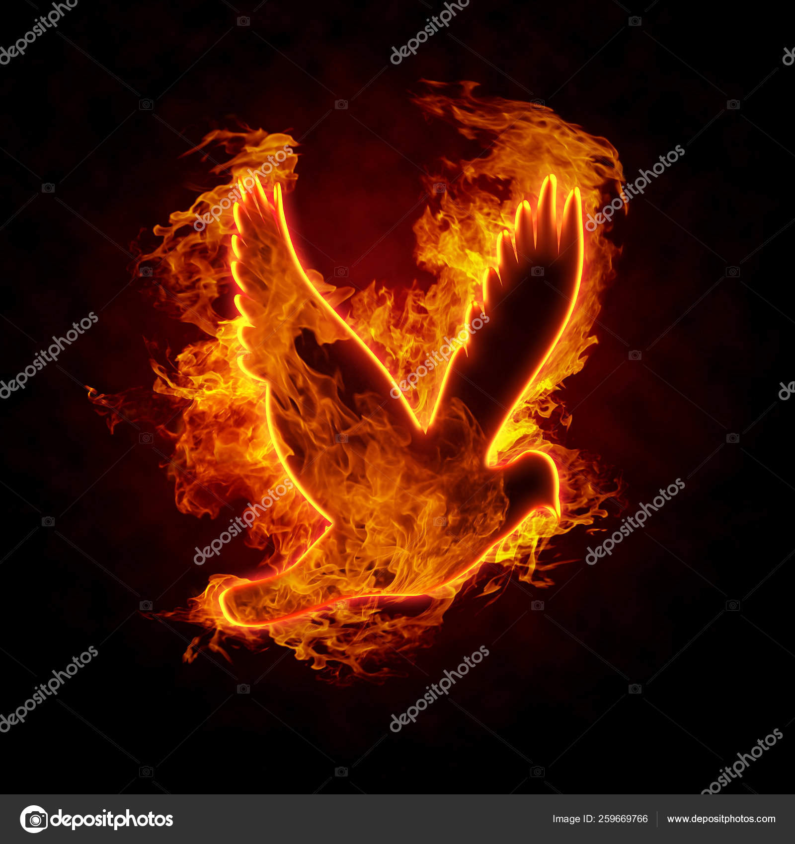 Burning Bird Silhouette Black Background Stock Photo by ©YAYImages ...