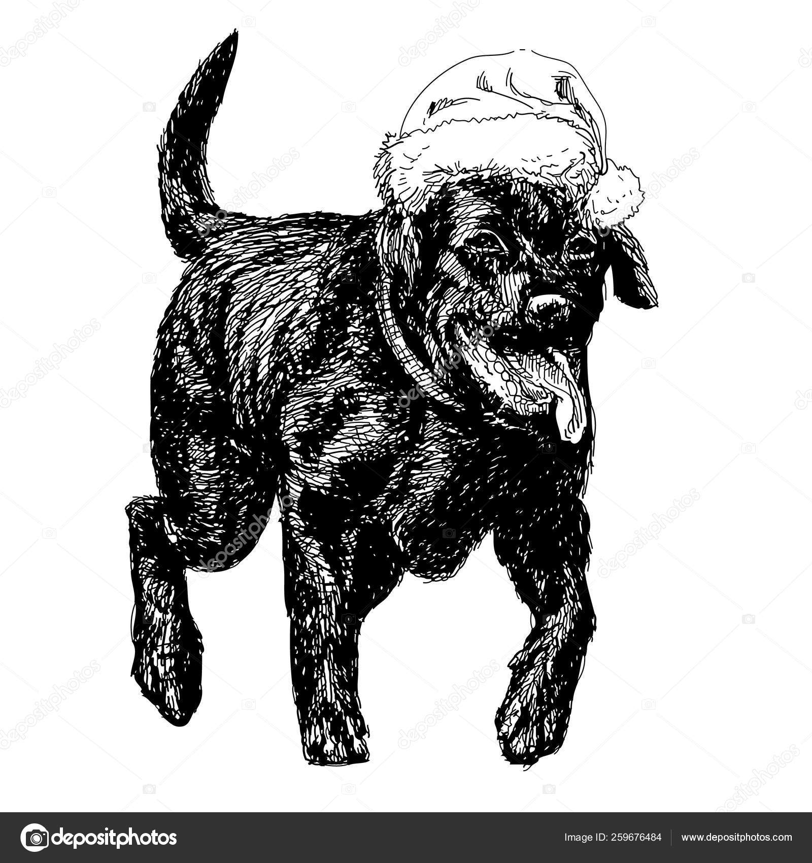 Black Labrador Retriever Santa Claus Hat Hand Drawn Vector Use Stock ...