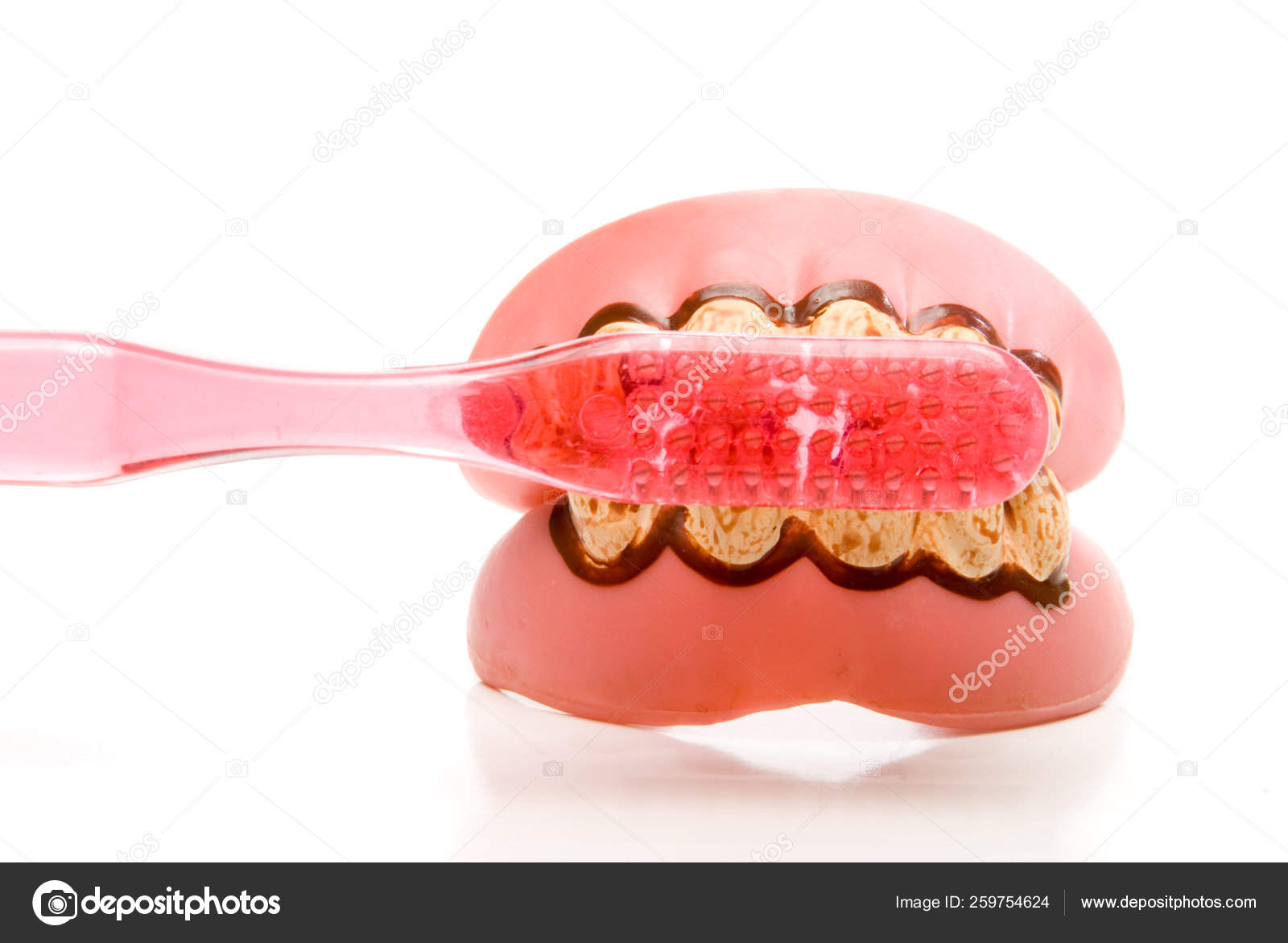 Really Dirty Teeth Gums Toothbrush Stock Photo by ©YAYImages 259754624