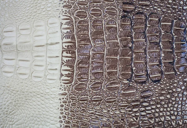 Seamless Natural Crocodile Skin Texture Stock Photo by ©YAYImages 257914042 Seamless Natural Crocodile Skin Texture Stock Photo by ©YAYImages 257914042