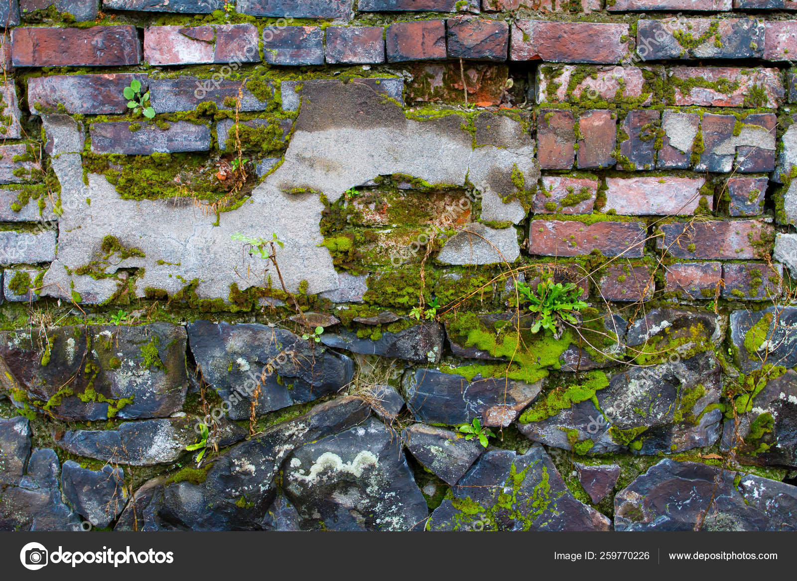 Old Decayed Brick Wall Has Plants Growing Pieces Bricks Turning — Stock ...