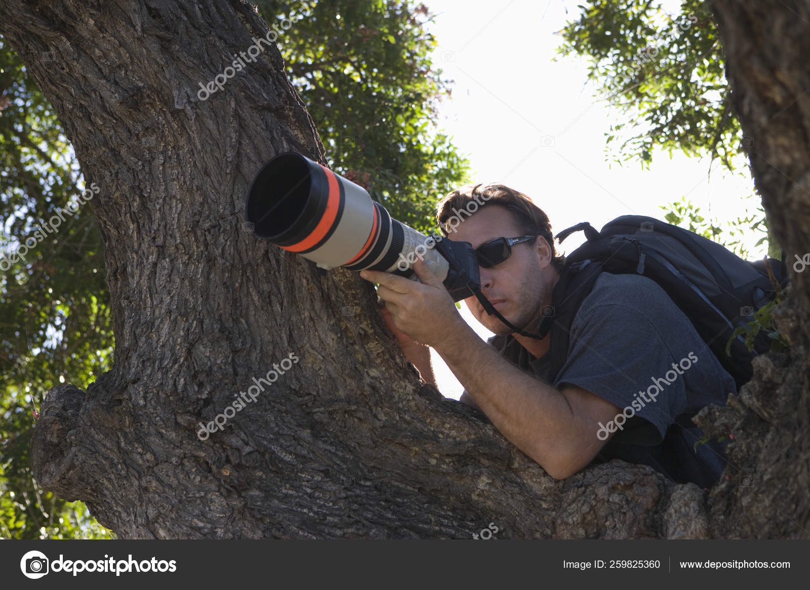Paparazzi Photographer Camera Stock Photo by ©YAYImages 259825360