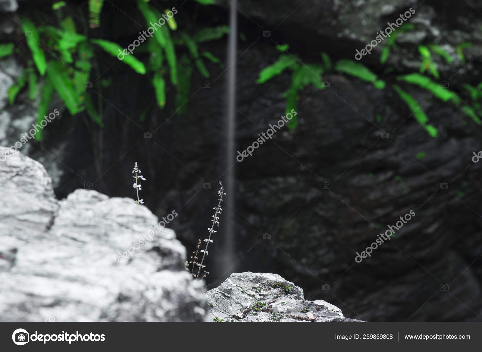 Slaughter Falls Cascade Waterfall Located Coot Tha Brisbane Queensland ...