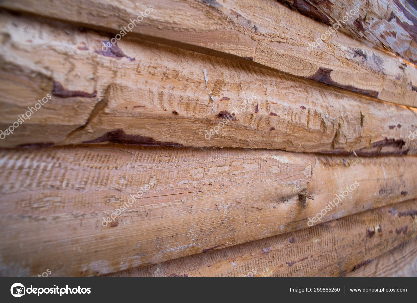 Texture Background Raw Tree Natural Form — Stock Photo © YAYImages ...