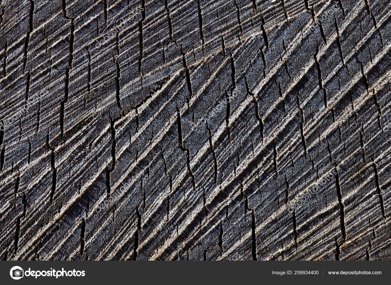 Macro Sawed Dry Wood Texture Lots Details Stock Photo by ©YAYImages ...