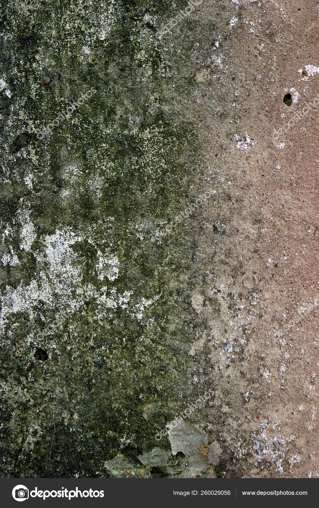 Full Screen High Resolution Shot Wall Stock Photo by ©YAYImages 260029056