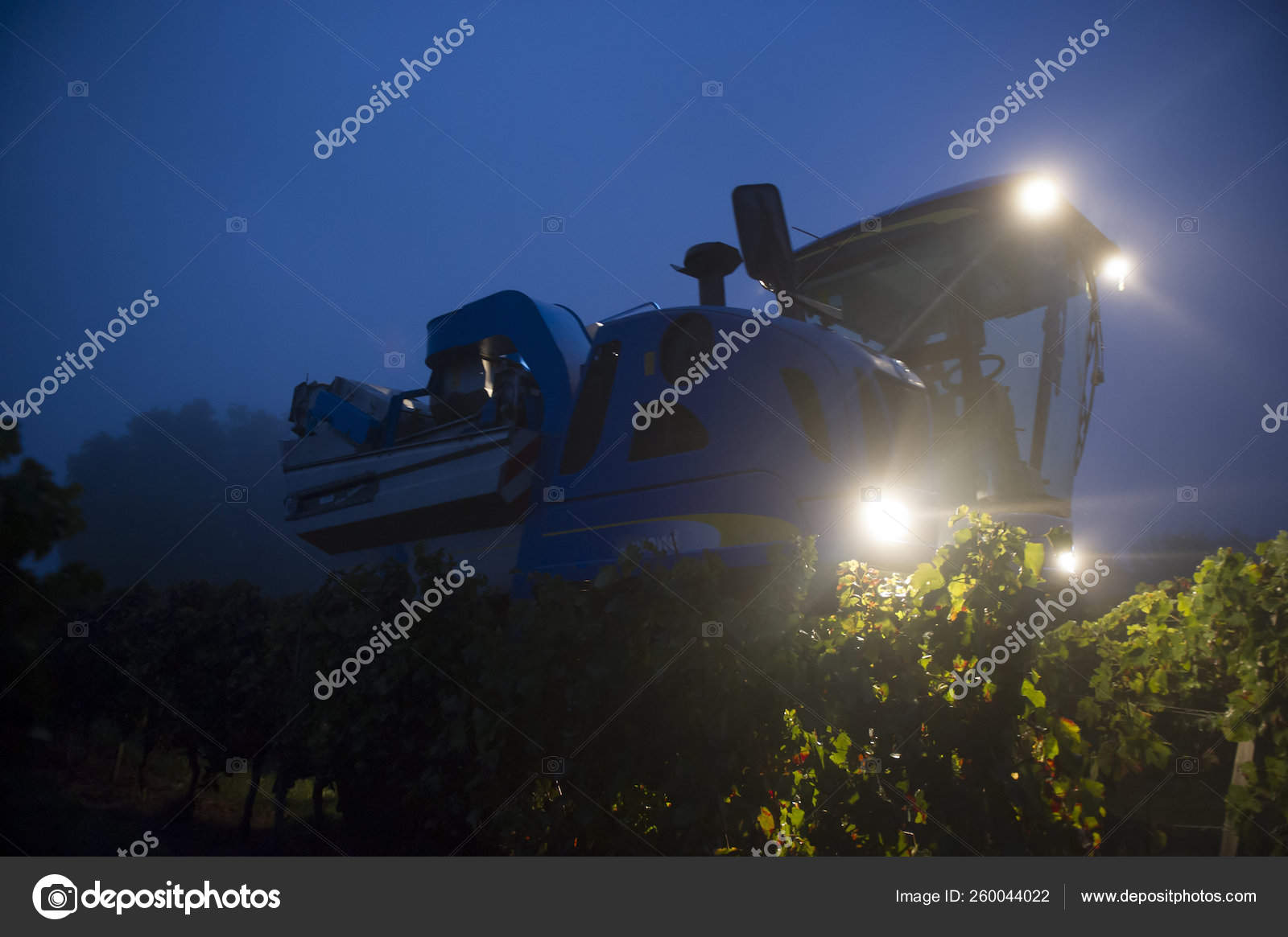 Mechanical Harvesting Grapes Vineyard Stock Photo by ©YAYImages 260044022