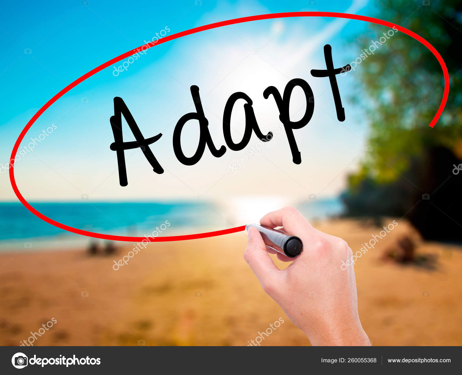 Man Hand Writing Adapt Black Marker Visual Screen Isolated Background ...