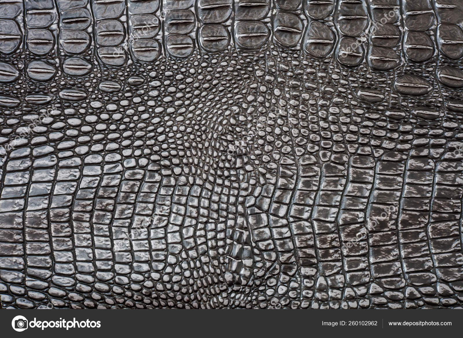 Seamless Natural Crocodile Skin Texture Stock Photo by ©YAYImages 260102962 Seamless Natural Crocodile Skin Texture Stock Photo by ©YAYImages 260102962