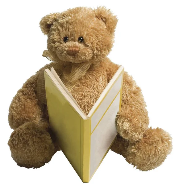 Teddy bear reading a book Stock Photo by ©speedo101 2276054