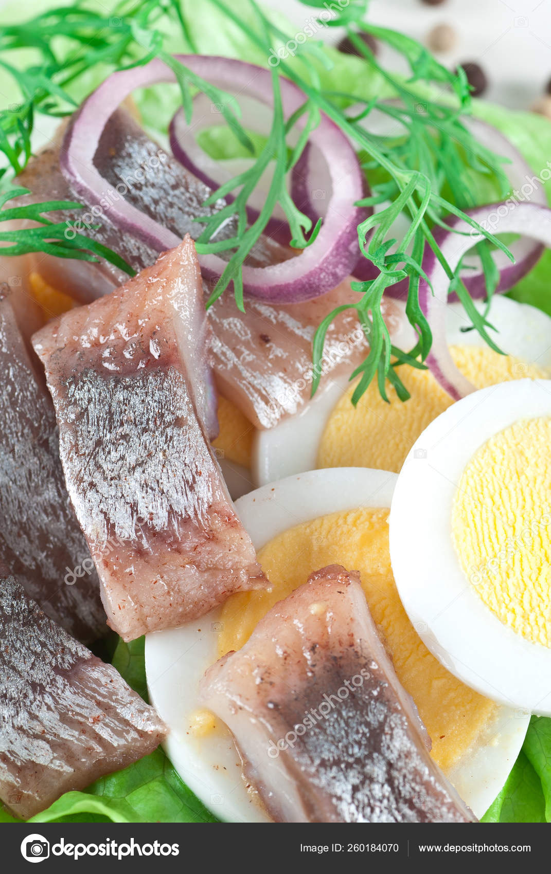 Arenque Escabeche Con Huevo Eneldo Cebolla Española — Foto de stock ...