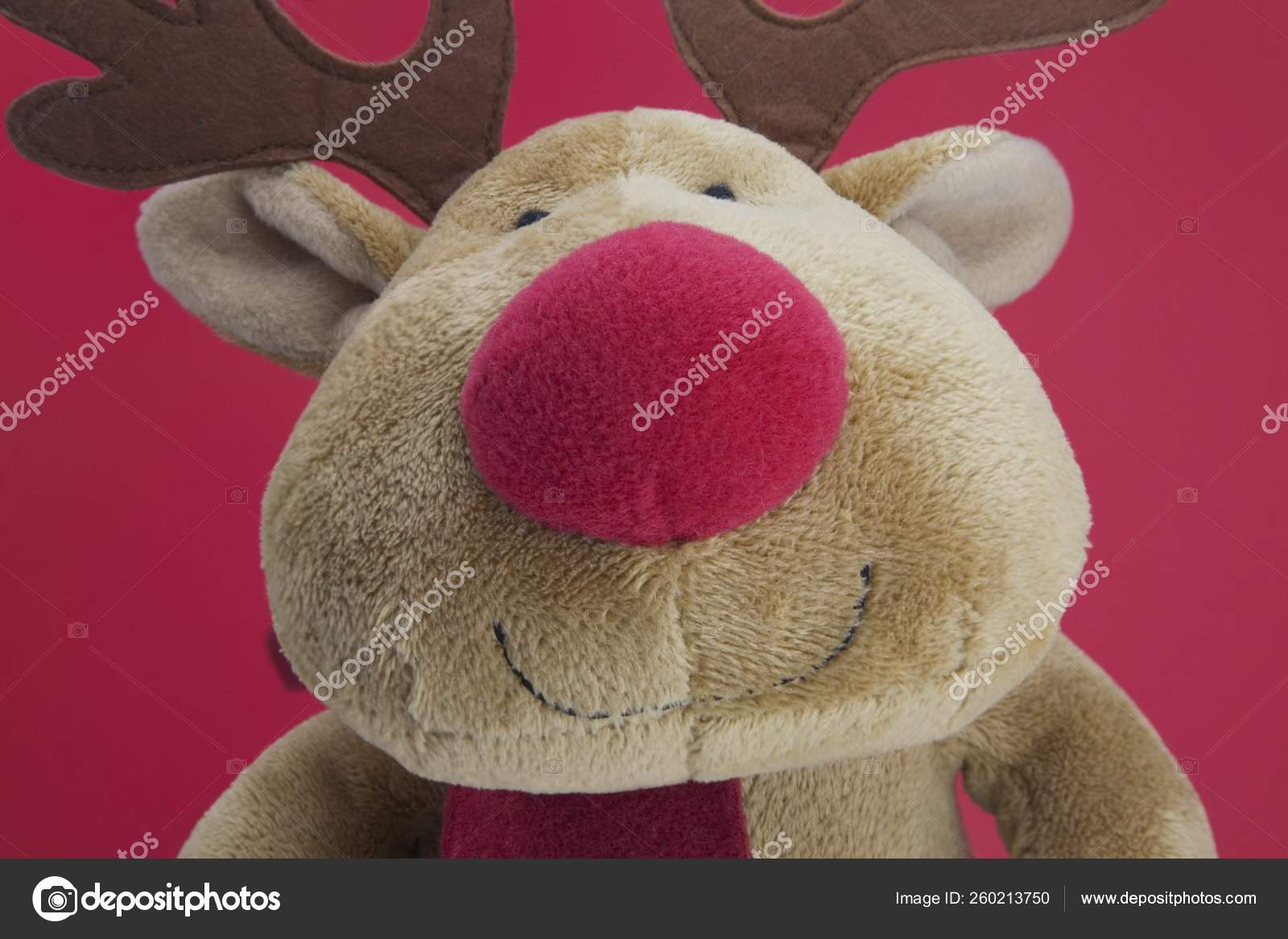 Rudolph Red Nosed Reindeer Soft Toy Teddy Stock Photo by ©YAYImages ...