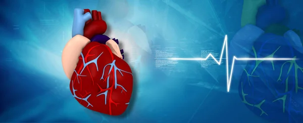 Human Heart Medical Background Stock Photo by ©YAYImages 262332646