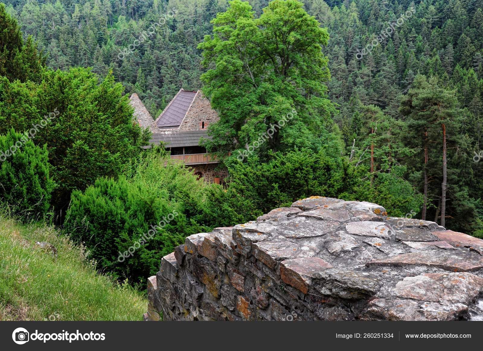 Very Old Castle Built Stone Green Forests — Stock Photo © YAYImages ...
