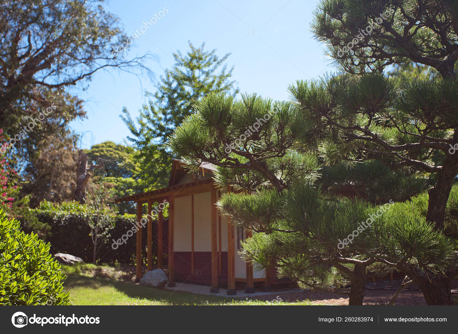 House Japanese Style Background Trees Stock Photo by ©YAYImages 260283974