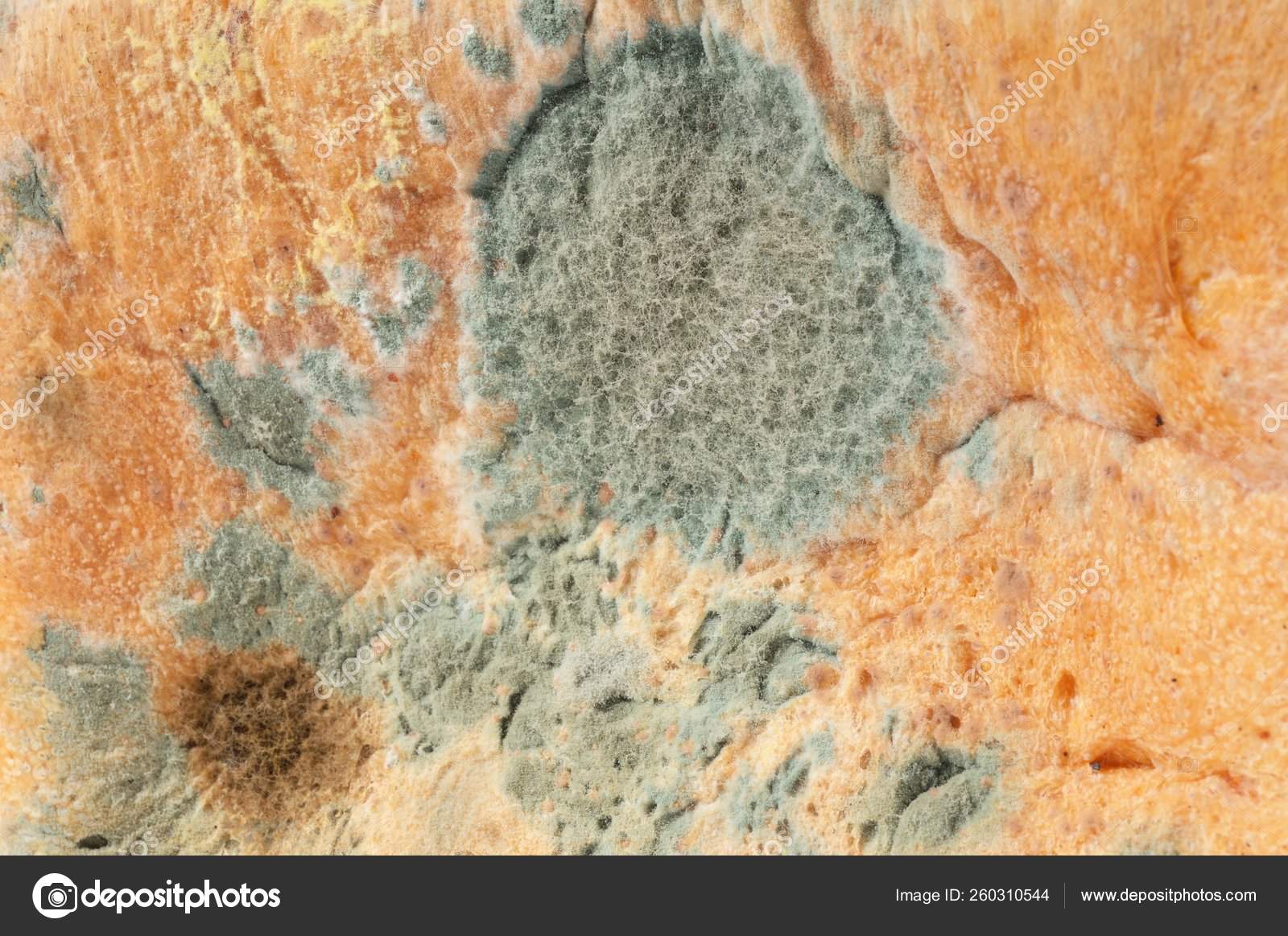 One Moldy Bread Macro Background Signs Rust — Stock Photo © YAYImages ...