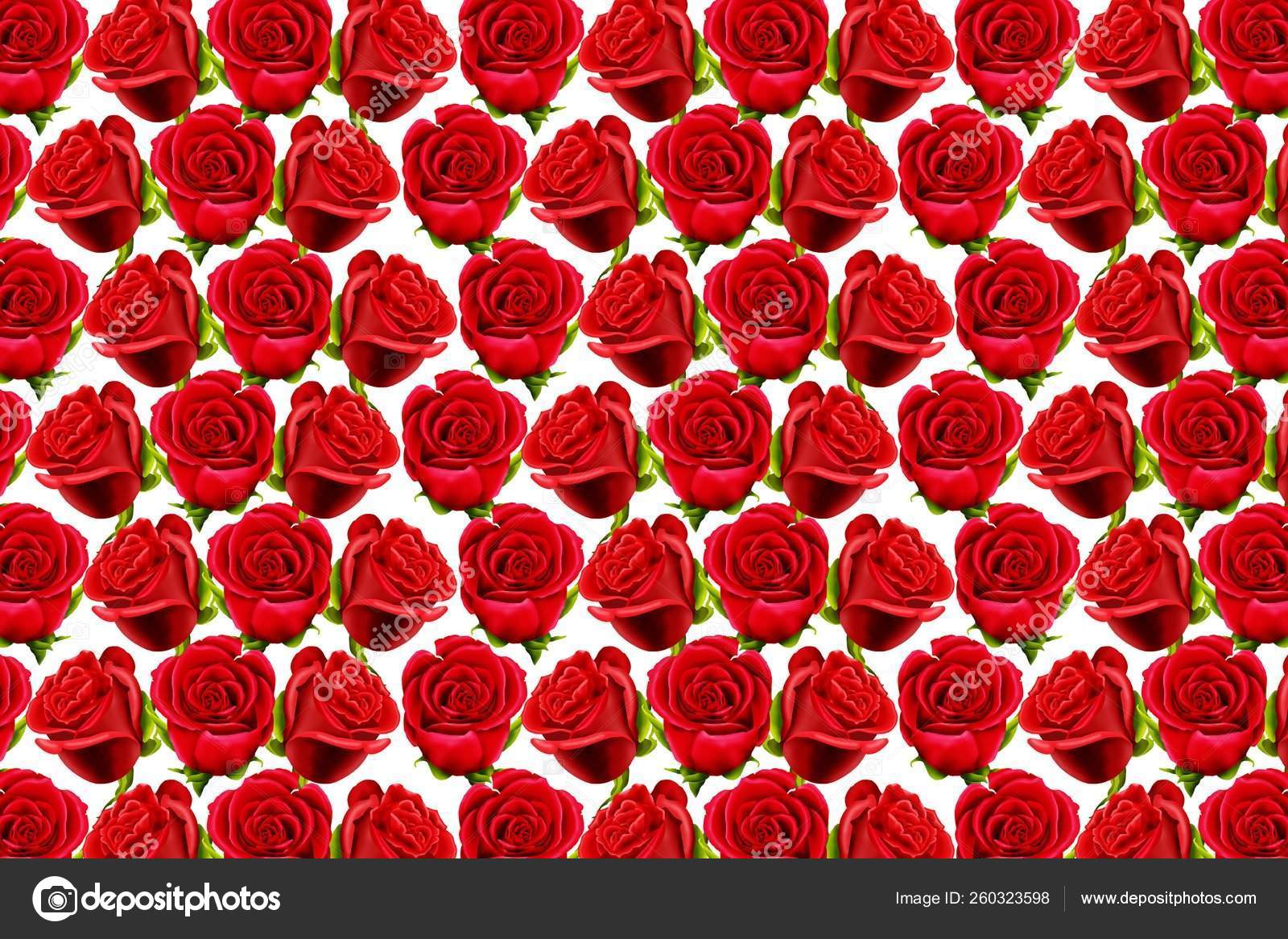 Fondos De Pantalla De Flores Rosas Y Rojas