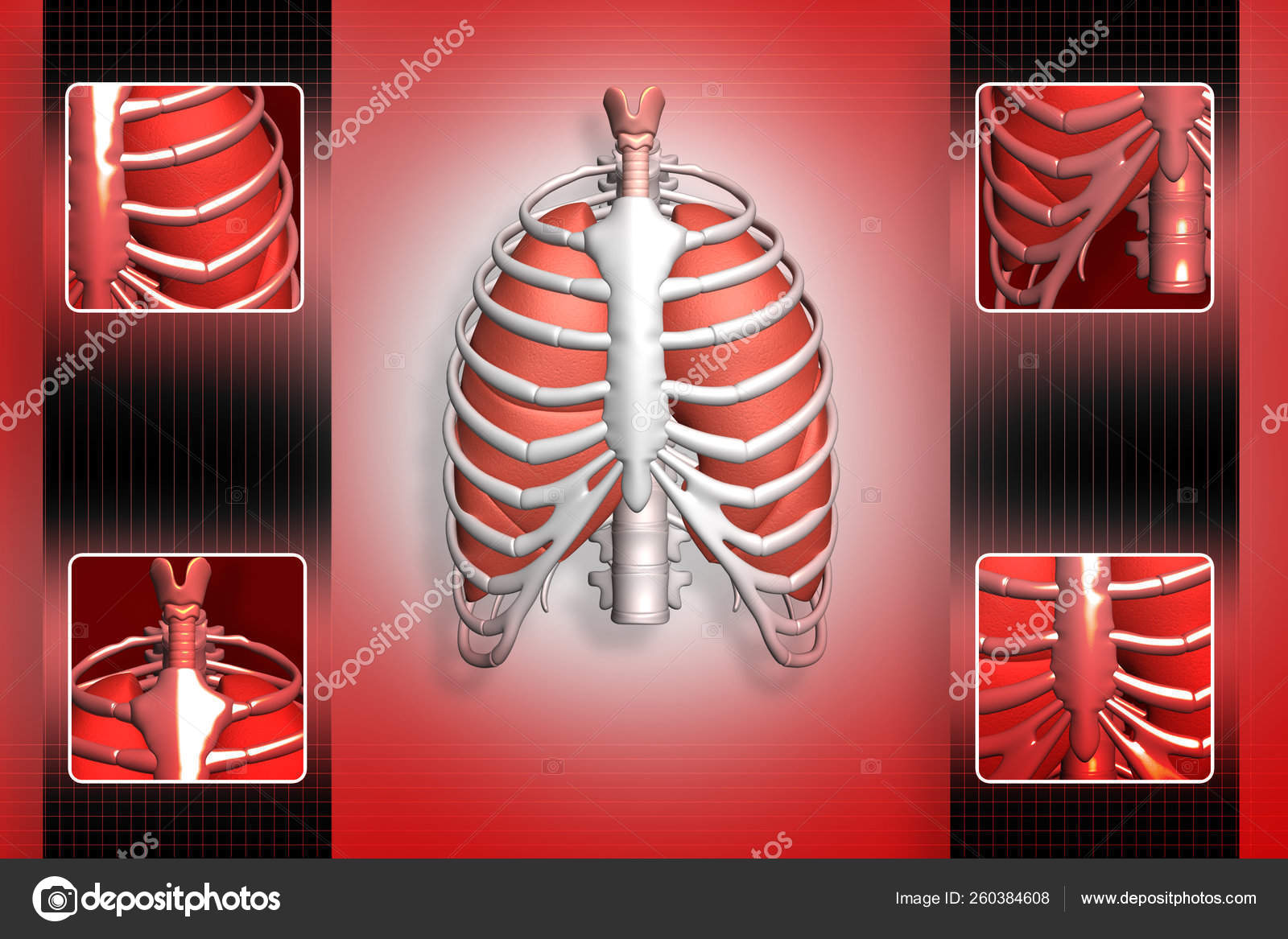 Human Lungs Color Background Stock Photo by ©YAYImages 260384608