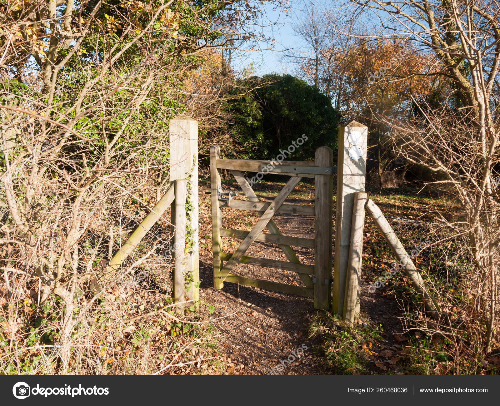 Countryside Open Gate Public Pathway Wooden Fence Boundary Autumn Essex ...
