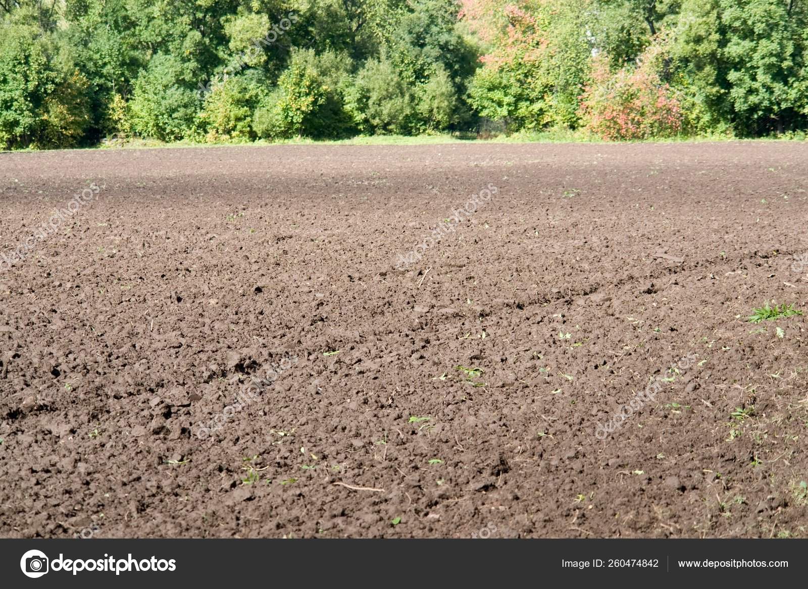 Arable Land Ploughed Earth Good Background — Stock Photo © YAYImages ...