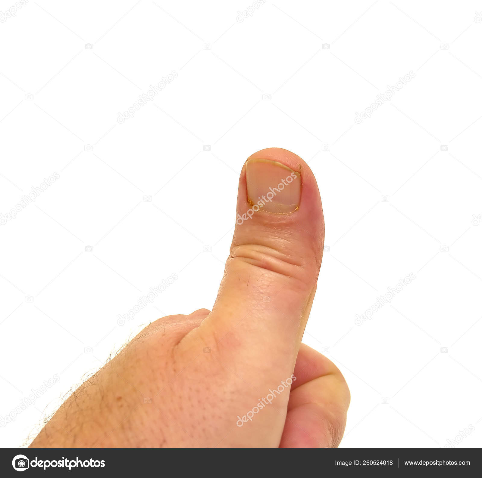 Human Hand Isolated White Background Stock Photo by ©YAYImages 260524018